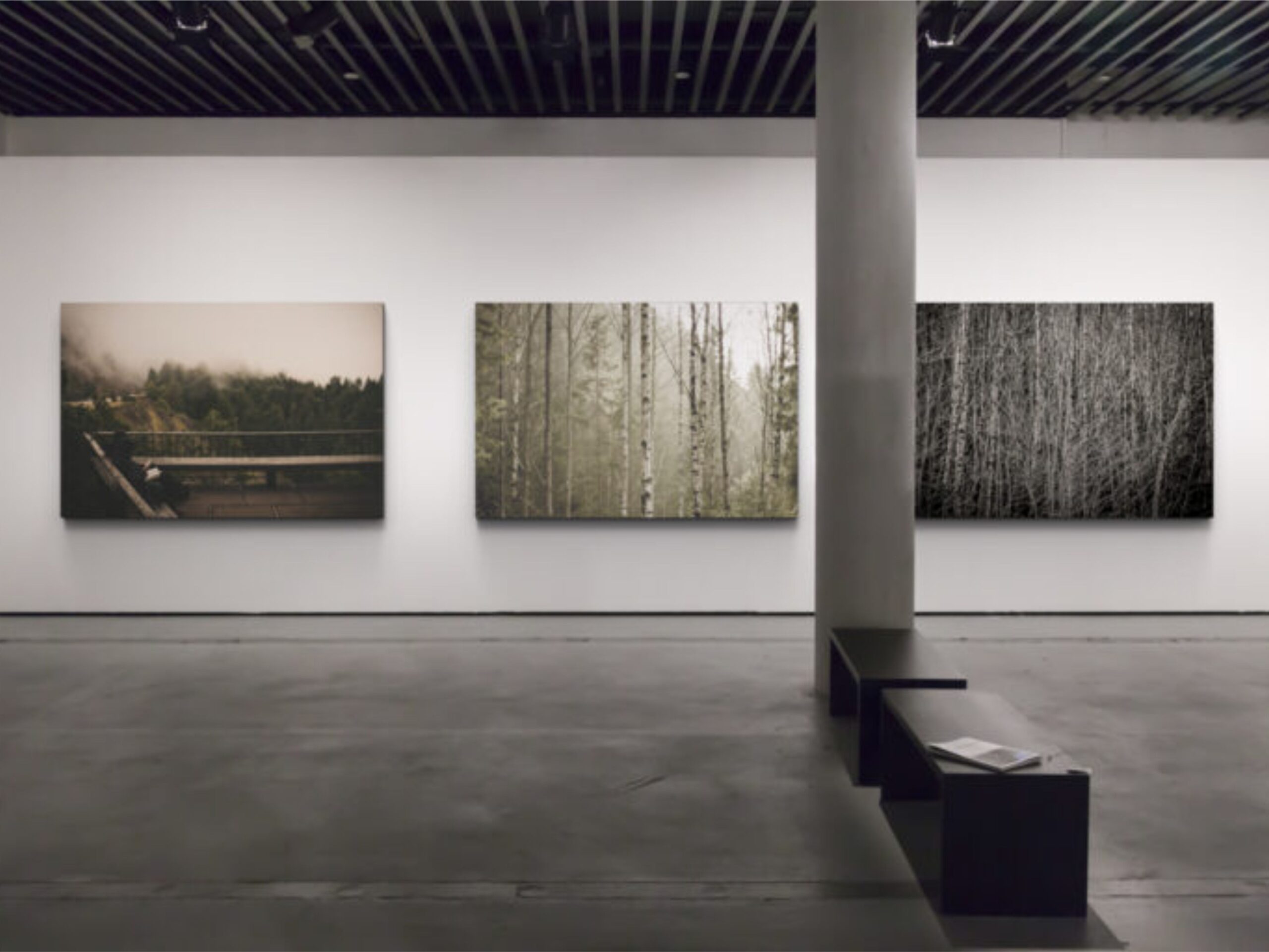 Akustikbilleder | Lydabsorberende vægdekoration